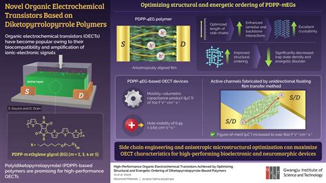 Scientists Fine Tune The Operation Of Innovative Organic Electrochemical Transistors