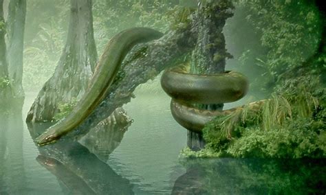 Documentalium Titanoboa La Serpiente Más Grande De La Historia