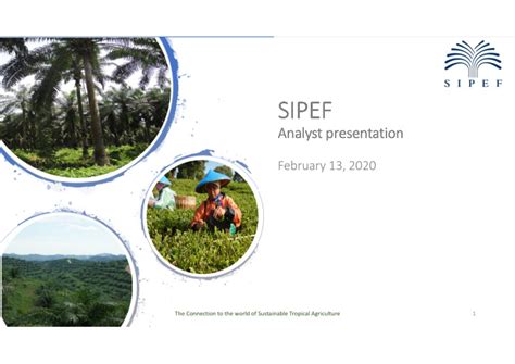 [ppt] Sipef Sipef Sipef Sipef Analyst Presentation Analyst Powerpoint Presentation 142872