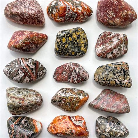 Leopard Skin Jasper Tumbled Pocket Stone Jasper Stone Minerals And