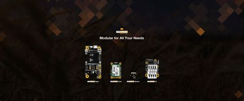 Wisblock Wi Fi Interface Module Mccoy Components