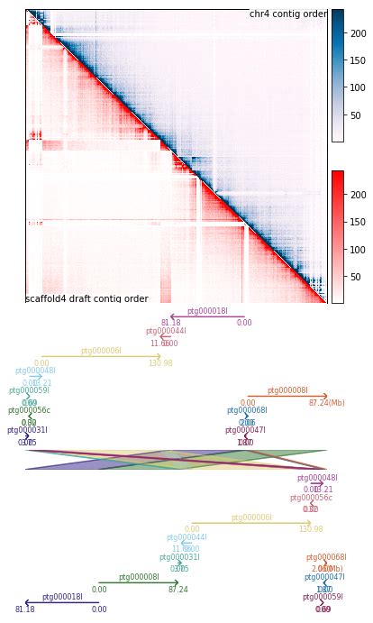 Scaffold Contig Reorder — Python 0121 Git Documentation