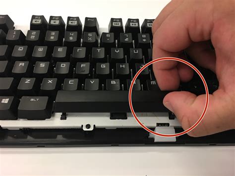 Razer Keyboard Replacement Parts Reviewmotors Co