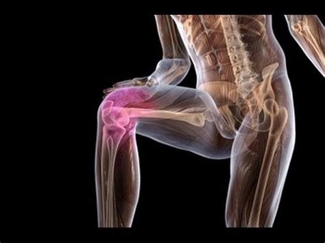 Би-Лурон восстановление хрящевой ткани суставов и после травм ...