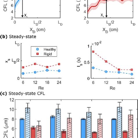 Flow Of A 0 1 Ht Rbc Suspension Through The Microfluidic T Junction Download Scientific