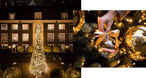 Elleonora Molnar Pinter On Linkedin 💚🎄