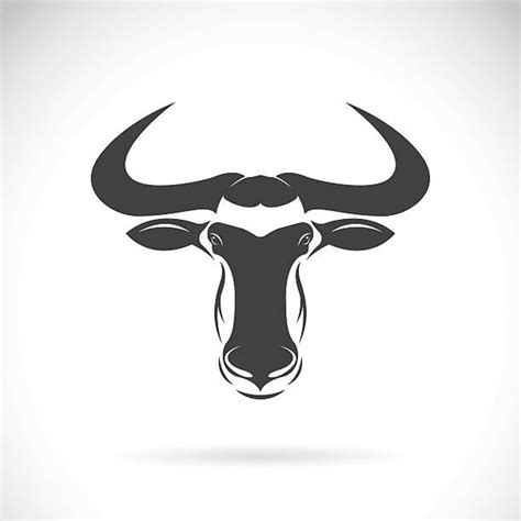 Evolved Radio Valencia Listen Online