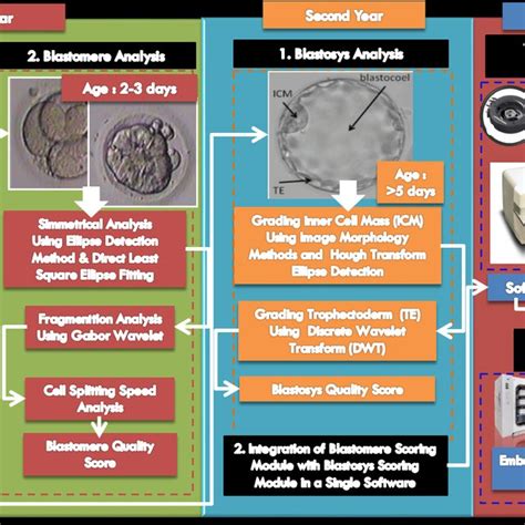 Research On Embryo Grading System Download Scientific Diagram
