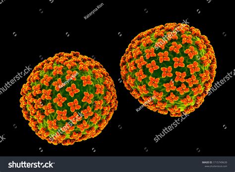 Hantavirus Virus Which Causes Hemorrhagic Fever Stock Illustration