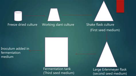 Factors Affecting Fermentation Pptx