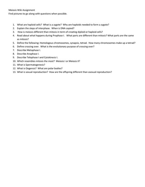 Meiosis Wiki Assignment Stages And Key Concepts