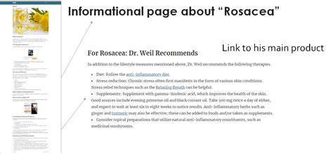 10 Tips For Recovering From Google Core Algorithm Updates Amsive