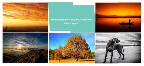 7 Best Wordpress Hover Effects