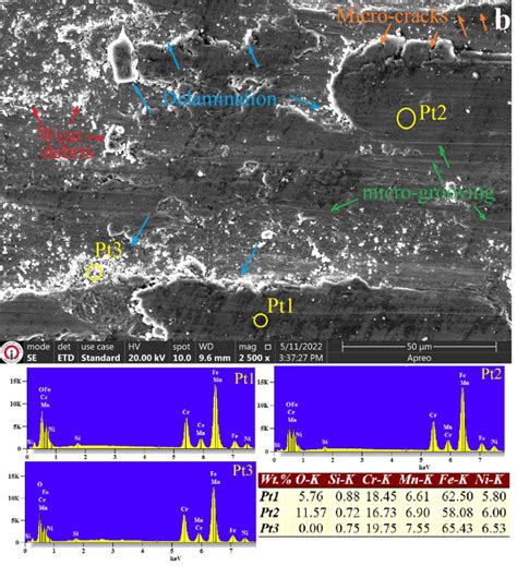 Sem Surface Micrograph And Results Of Eds Point Analyses Conducted On