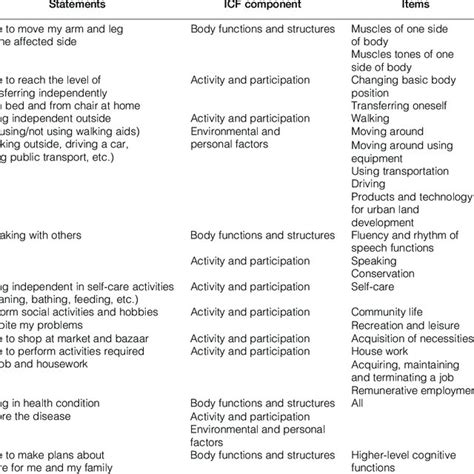 2 Its Statements And Corresponding Icf Components Theme 2 What Does
