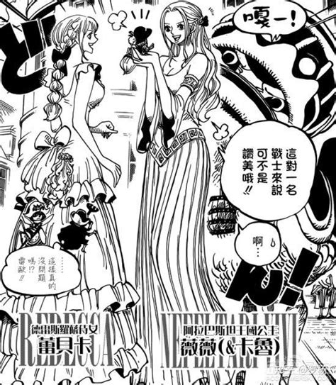 《海贼王》角色撞脸严重 美女几乎都是娜美和罗宾 知乎