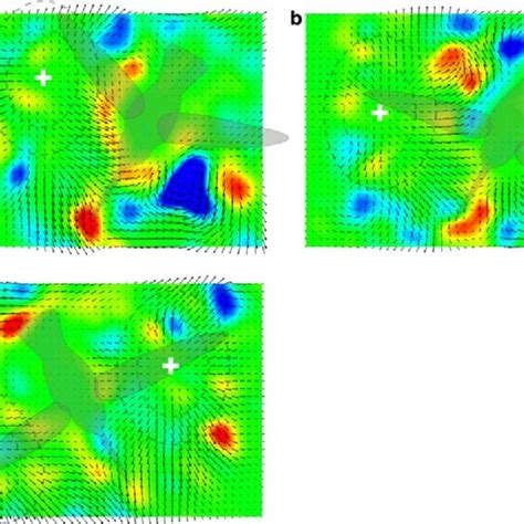 Proposed Model For The Principal Vortex Wake Structures Of Hovering Download Scientific Diagram