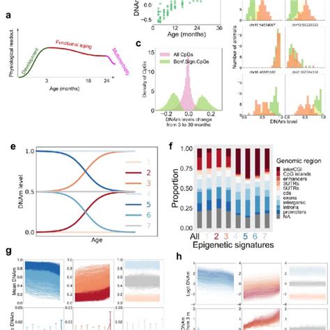 PDF Nature Of Epigenetic Aging From A Single Cell Perspective