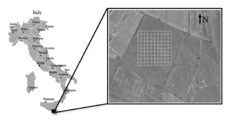 Case Study Site And Positioning Grid Download Scientific Diagram