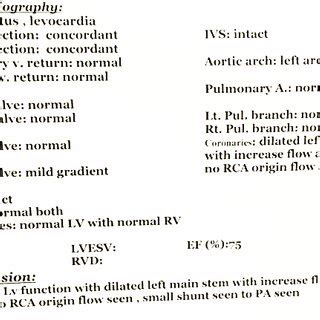 Transthoracic Echo At Age Of Month Download Scientific Diagram