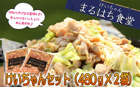 鶏ちゃん発祥の名店「まるはち食堂」こだわり抜かれた下呂の味！！けいちゃん 480g×2（約6人前）冷凍 ケイちゃん 郷土料理 まるはち 下呂市