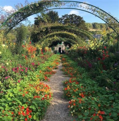 O Que é Sustentabilidade Descubra O Significado Da Palavra Sidewalk