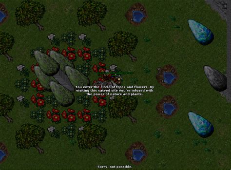 Arquivo Mensagem Carlin Png Tibia Wiki A Enciclopédia Do Tibia