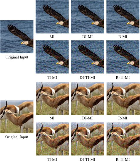 Enhancing Transferability Of Adversarial Examples Via Rotation