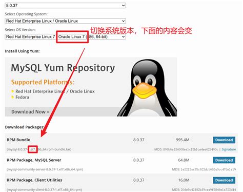 Linux 安装 Mysql【centos】linux 安装mysql Csdn博客
