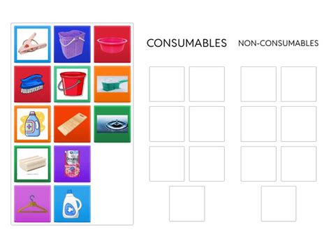 SORTING GAME Group Sort