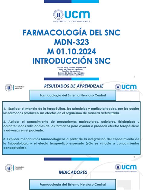 SNC - 022024 | PDF | Sinapsis | Neurona