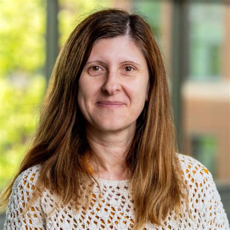 Camelia Kantor Penn State Research