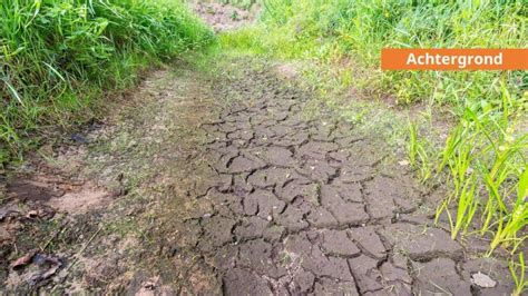 Manja Van Opdorp On Linkedin Grondwateronttrekking Lijkt Niemand Te Boeien