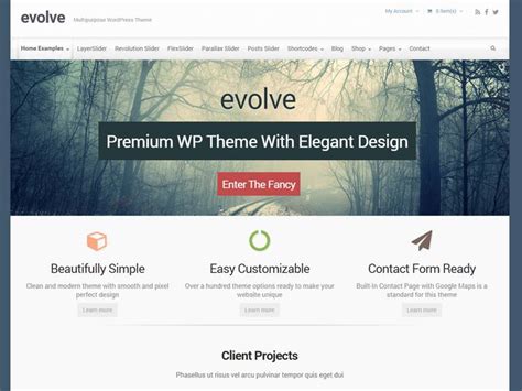 20 Best Responsive And Free Parallax Scrolling Wordpress Themes