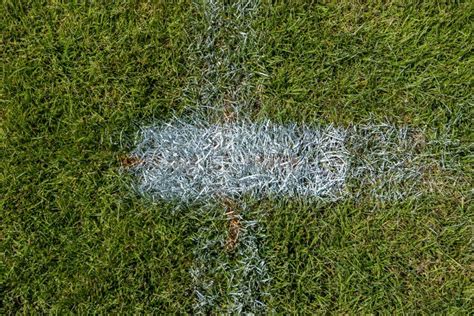 Grass On The Soccer Field Stock Image Image Of Soccer 263604631