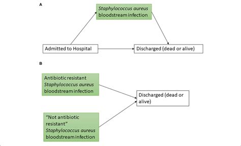 Multistate Models Used To Estimate Excess Length Of Stay Boxes