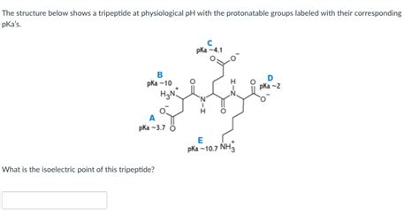Tripeptide Labeled