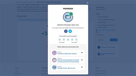 Salesforce Developer Quick Look Salesforce Trailhead Youtube