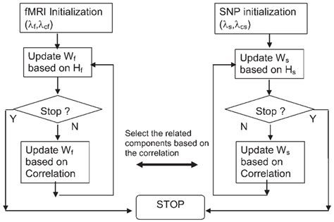 Parallel Ica Procedure Download Scientific Diagram