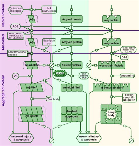 Published Maps Systems Biology Graphical Notation
