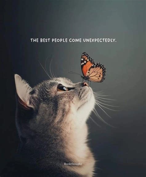 Jawad Hussain On Linkedin So True