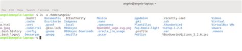Examples Of Ls Command To List Files In Linux