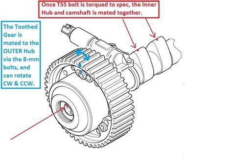 Deltoid Intramuscular Injection Everything You Need To Know 54 Off