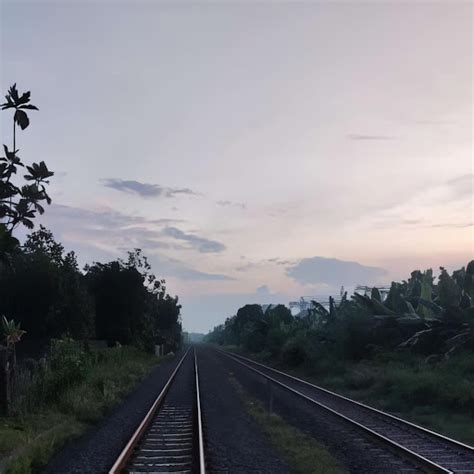 Deepdive Youtube Music