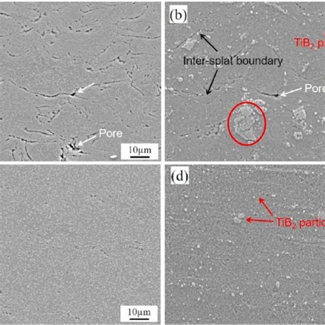 Sem Images Showing The Cross Sectional Morphologies Of The A B Cs