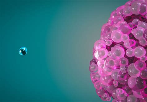 Selecting Cytokines For Organoid Cultures Ts Digest Science News Hubb