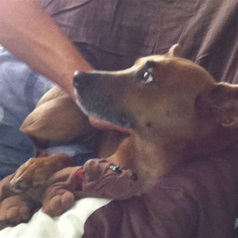 As Above So Below I Pet Ginny While She Pets Pp