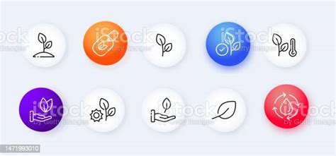 환경 설정 아이콘을 돌 봅니다 잎 나뭇잎 손 식물 지구 공장 생분해 성 패키지 가방을 저장합니다 생태 개념입니다 신형성 스타일 광고에 대 한 벡터 선 아이콘 꽃 식물에 대한