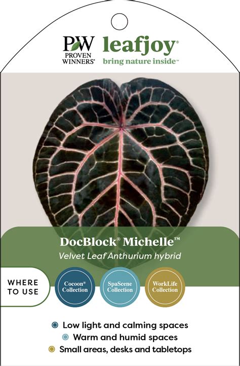 Docblock® Anthuriums Proven Winners