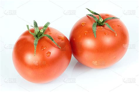 Tomatos